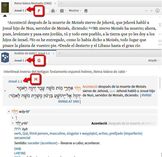 LOGOS 5: USANDO EL ANÁLISIS DE TEXTO VERSÍCULO POR VERSÍCULO
